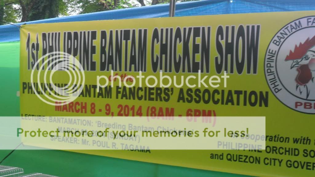 1st Philippine Bantam Show at the Quezon Memorial Circle | Collectors ...